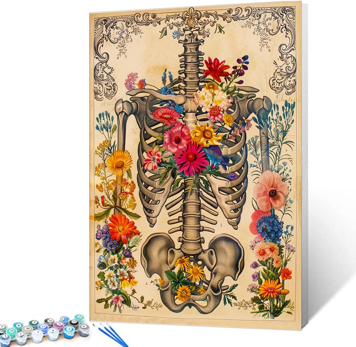 Human Skeleton and Flowers Paint by Numbers – Tucocoo